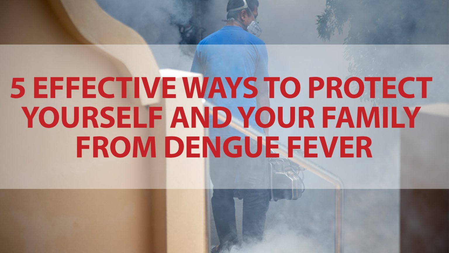 Effective Ways to Protect Yourself and Your Family From Dengue Fever