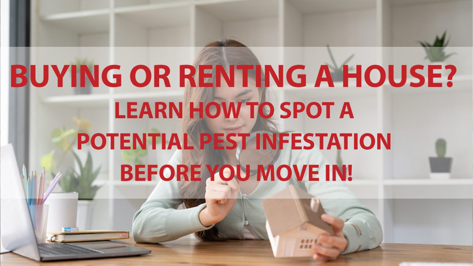 Buying or Renting a House? Learn How to Spot a Potential Pest Infestation