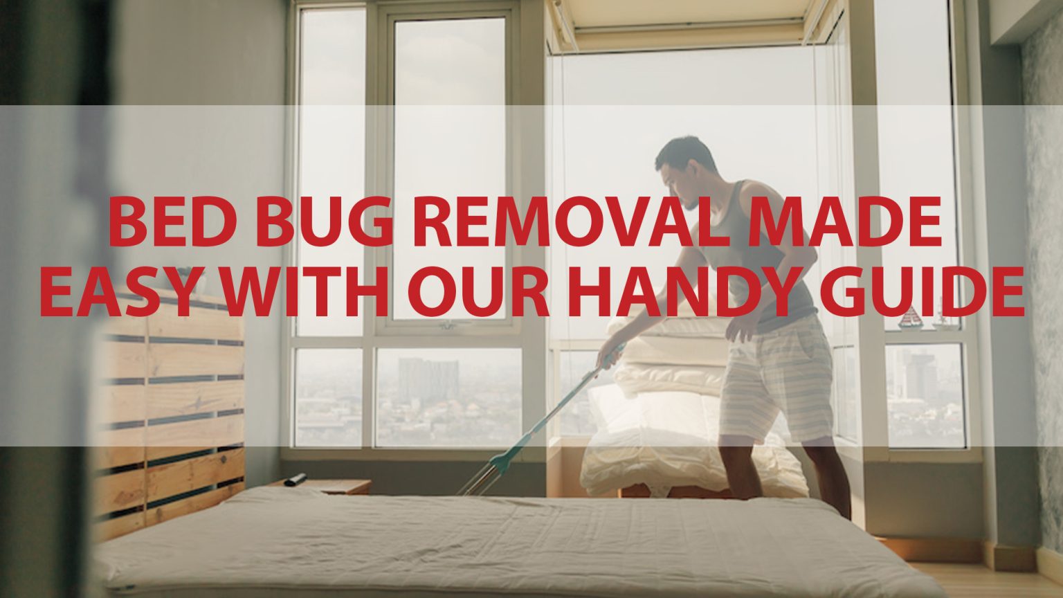 Bed Bug Removal Made Easy with Our Handy Guide