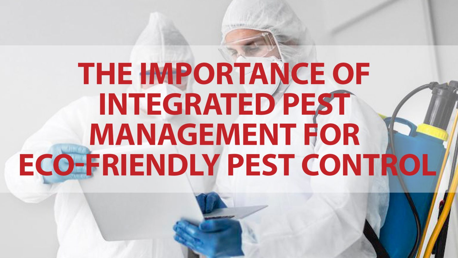 Importance of Integrated Pest Management for Eco-Friendly Pest Control