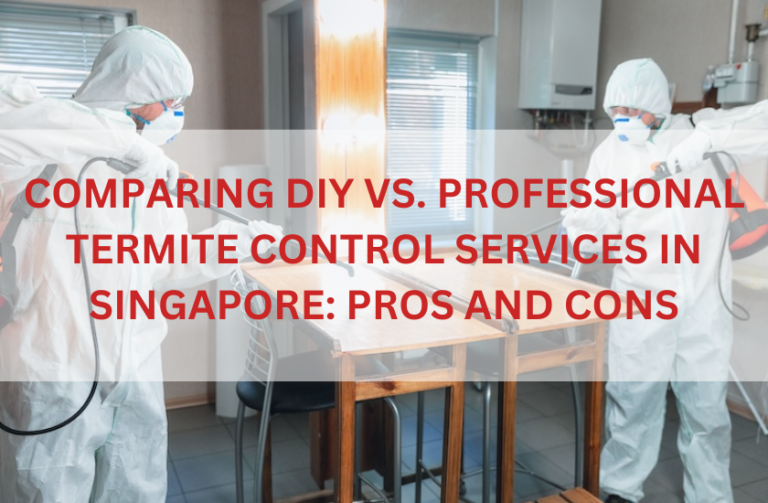 Termites in Singapore: Frequently Asked Questions