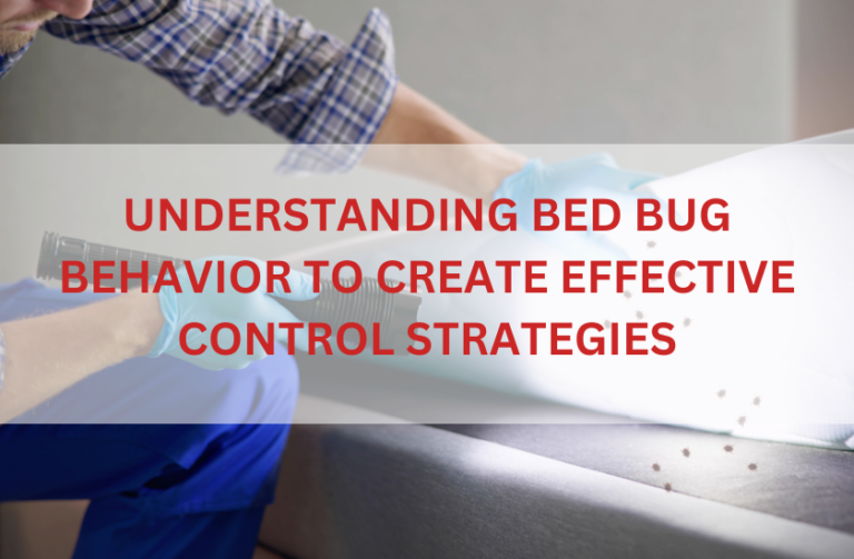 Understanding Bed Bug Behavior for Effective Control Strategies